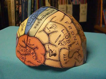 Middle and High School Students – Brain Awareness
